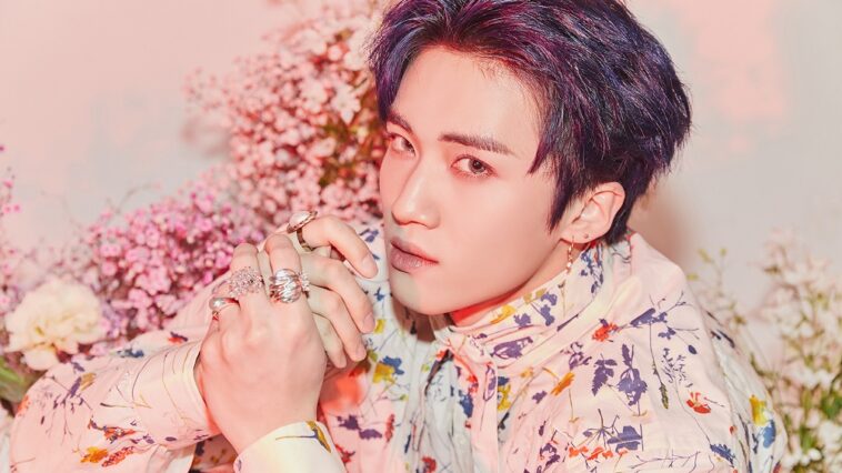 Pentagon 펜타곤 Jinho Complete Profile Facts And Tmi